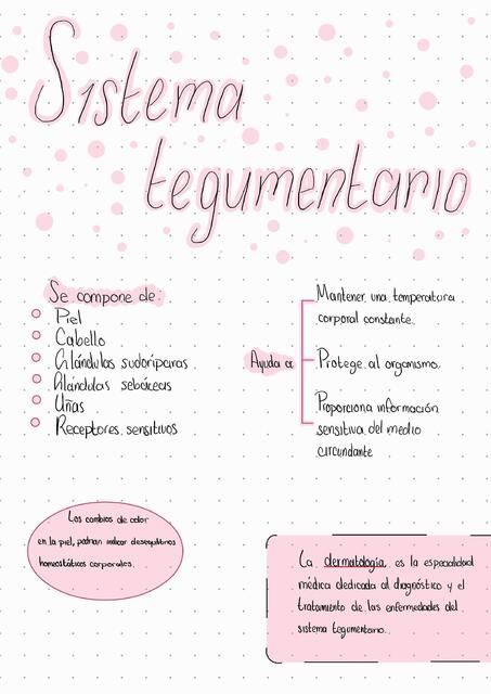 DOC WA | Mairany | uDocz