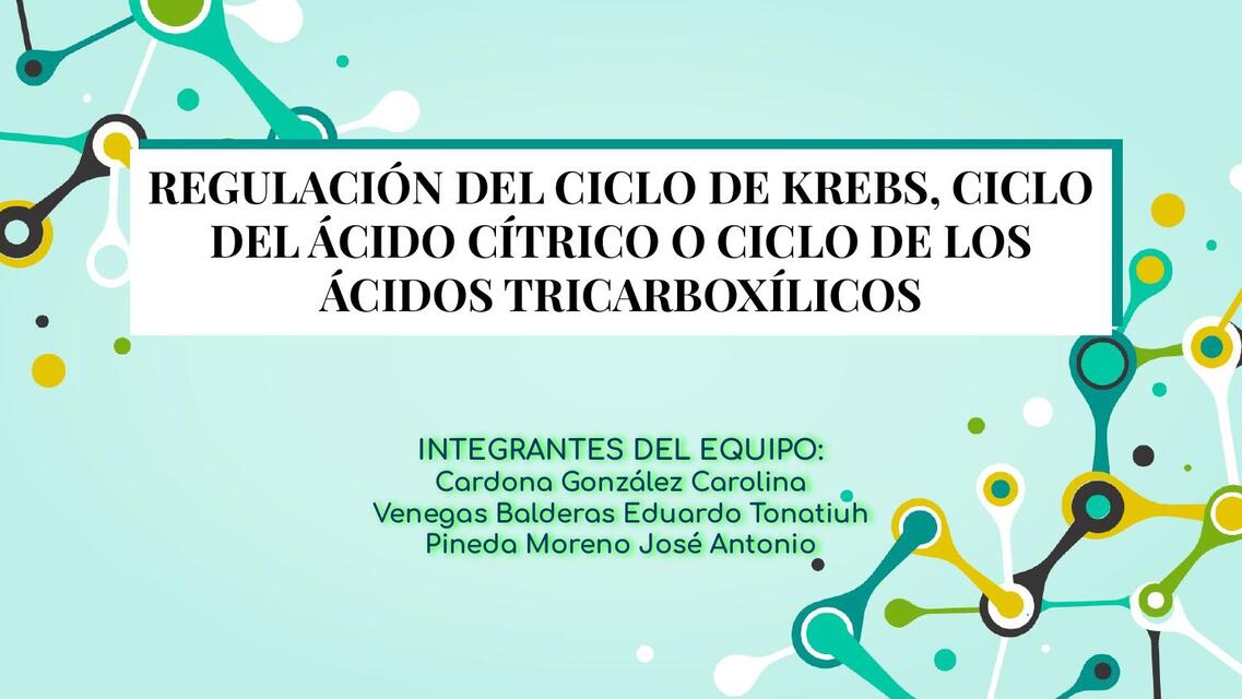 Regulación del ciclo de Krebs 1 | PINEDA MORENO JOSÉ ANTONIO | uDocz