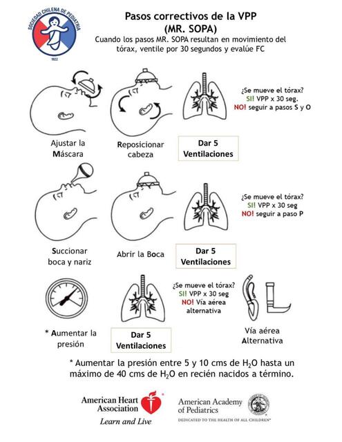 MR SOPA | Fernanda Contreras | uDocz