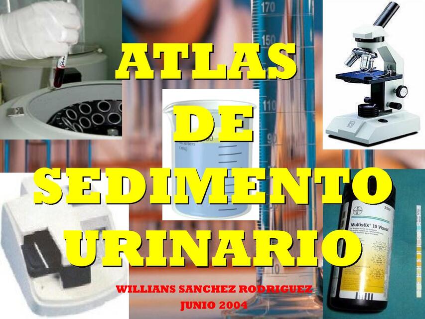 atlas de sedimento urinario 2 | Melany Rivera | uDocz