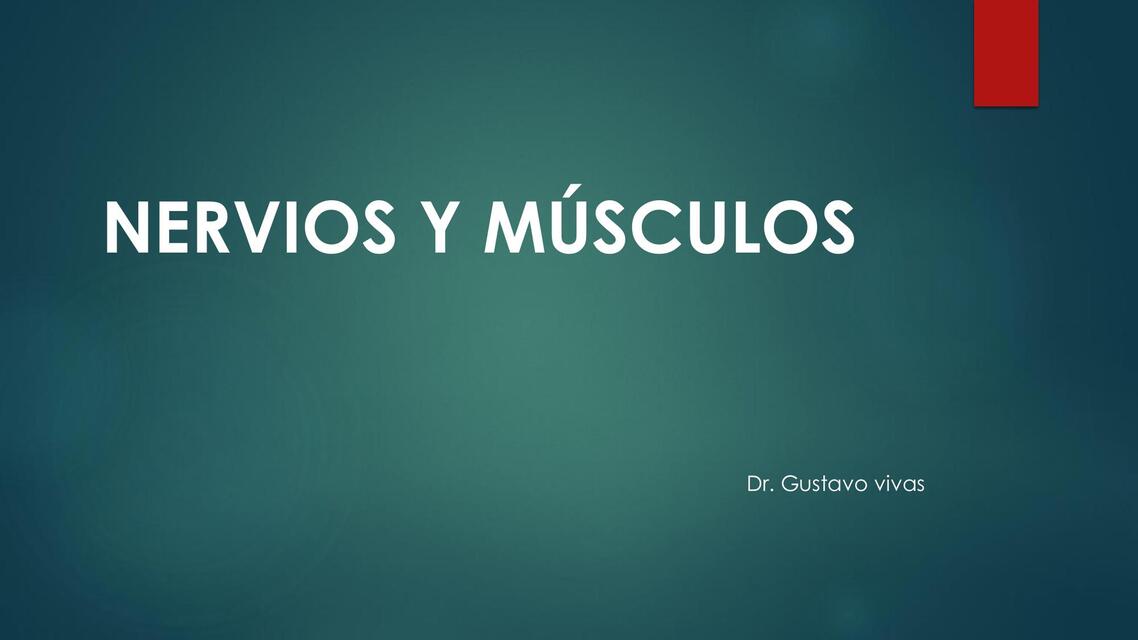 Flashcards de 3 clase de anatomia nervios y musculos Dr Vera | Por ...