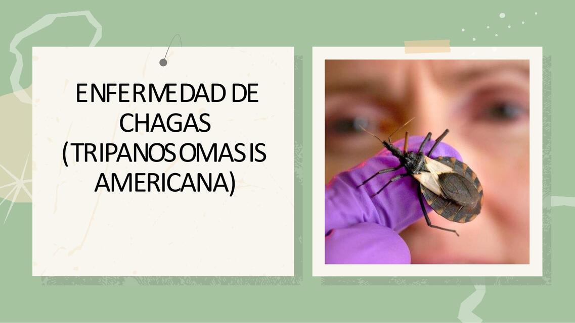 Enfermedad de Chagas | Cristian | uDocz