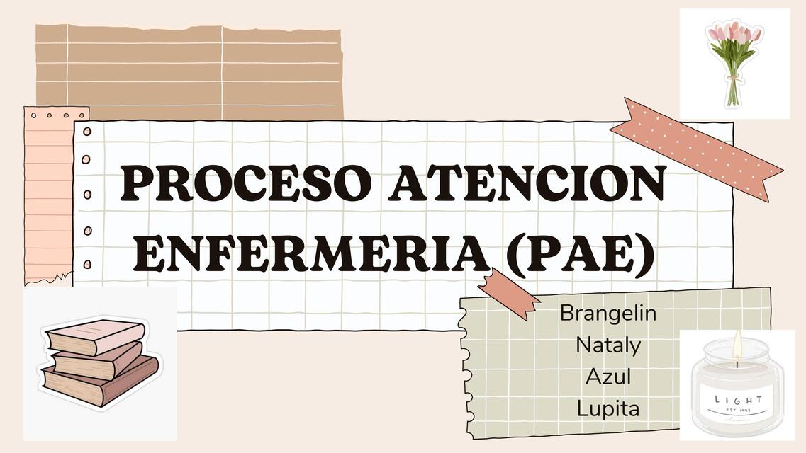 presentacion de pae | Alicia | uDocz