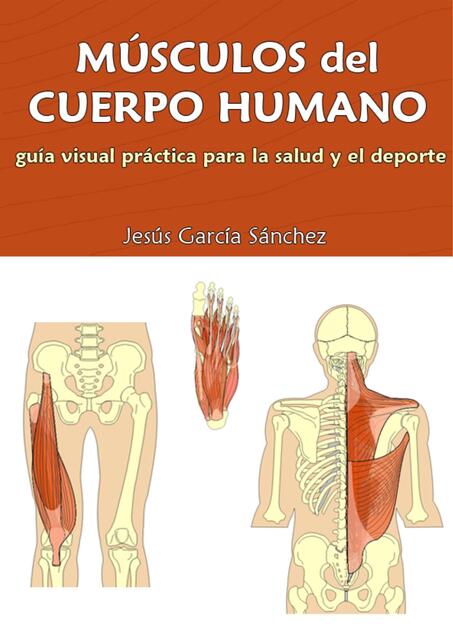 Musculos del cuerpo humano | Blin | uDocz