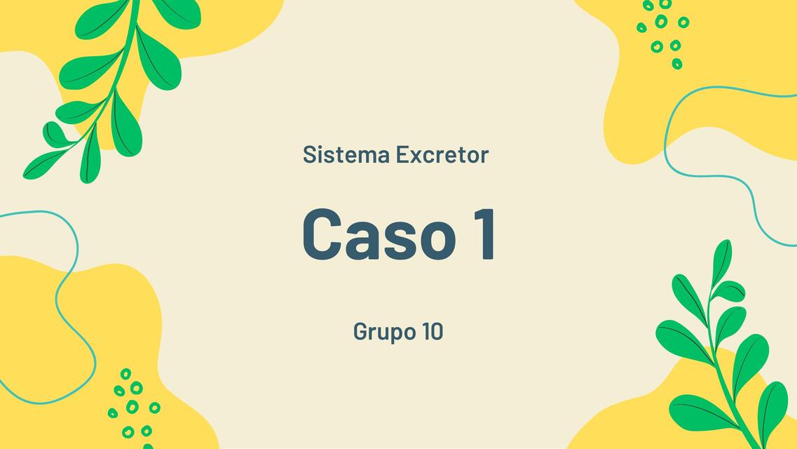 Flashcards de PA GRUPO 3 CASO CLÍNICO 1 | Por MIRIAM ALESSANDRA | uDocz