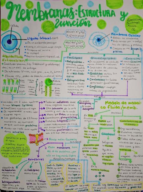 CAP 40 Bioquímica | Geminiano Santiago Anais | uDocz