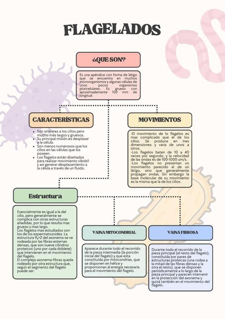 FLAGELADOS | Agronotas | uDocz