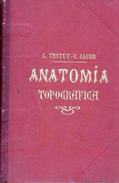 Testut Jacob Anatomía Topográfica | RA YITA | uDocz
