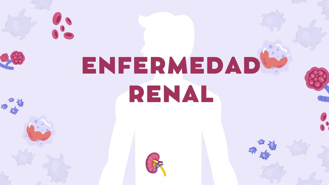 ENFERMERDAD RENAL CRONICA | Zulemy Gonzalez Novelo | uDocz