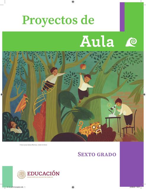6 Proyectos de Aula Sexto Grado | nane D | uDocz