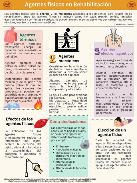 Introducción a agentes físicos | Veyda | uDocz