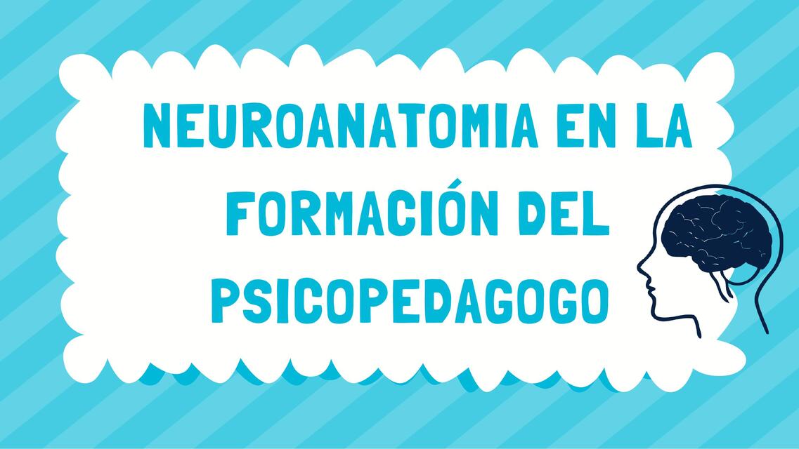 DOC WA | Alex | uDocz