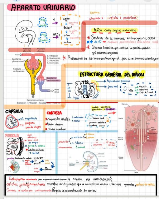 document | Zualem | uDocz