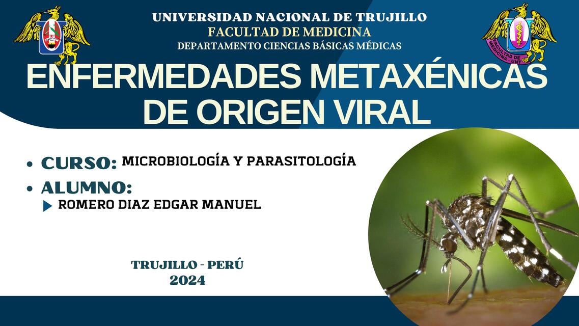 ENFERMEDADES METAXÉNICAS DE ORIGEN VIRAL (Zika - Chikungunya - Fiebre ...