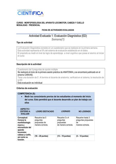 FICHA DE ACTIVIDADES MORFO II | J10_ | uDocz
