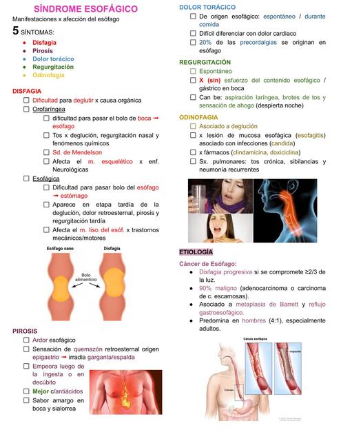 SÍNDROME ESOFÁGICO | medstart | uDocz