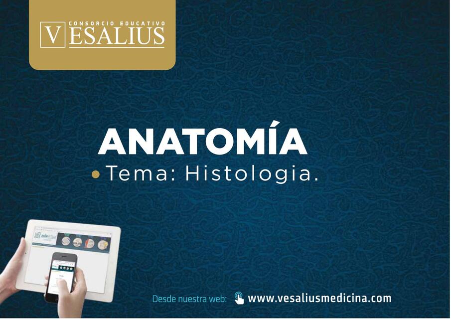 1. TEJIDO EPITELIAL I PRE - RESUMEN | AndEstudy | uDocz 1. TEJIDO EPITELIAL I PRE - RESUMEN | AndEstudy | uDocz