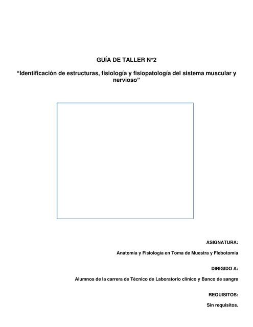 Flashcards de 1 5 Guia taller 2 Identificacion de estructuras fi | Por frass | uDocz