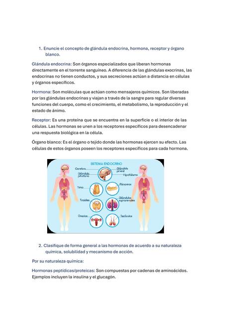 DOC WA | Jackarely | uDocz