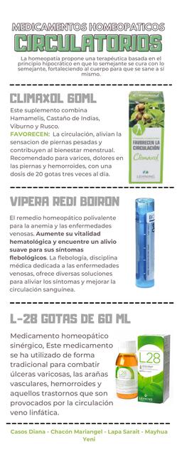 Green Brown Monstera Plant Fun Facts Infographic | Cindy Yarahuaman | uDocz