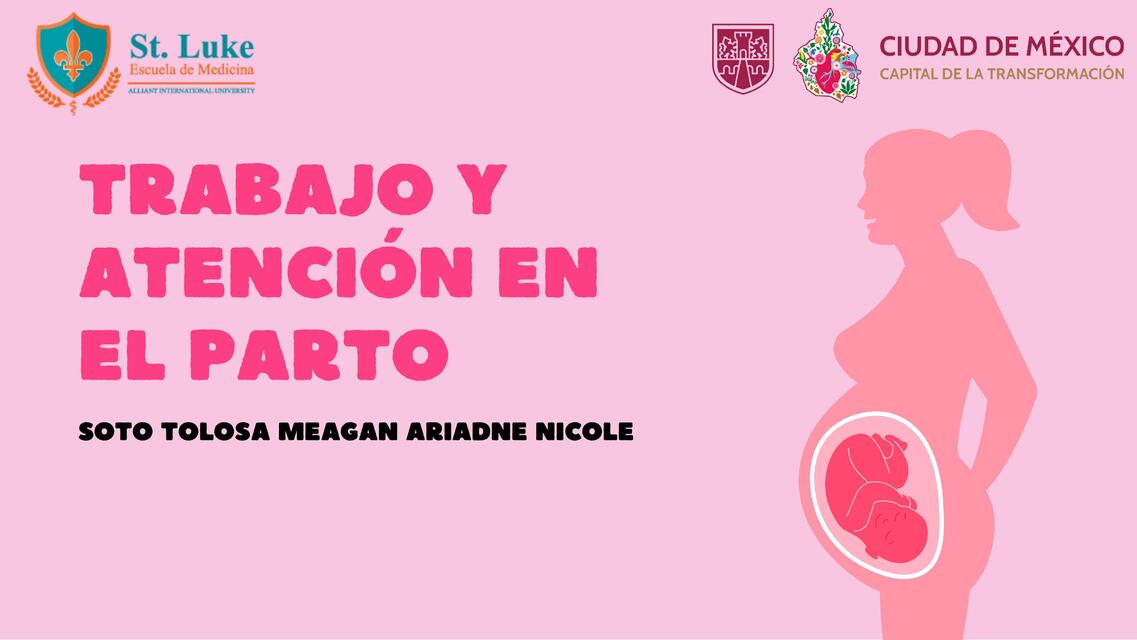 Trabajo y atención en el parto soto meagan pdf | Meagan Soto | uDocz Trabajo y atención en el parto soto meagan pdf | Meagan Soto | uDocz