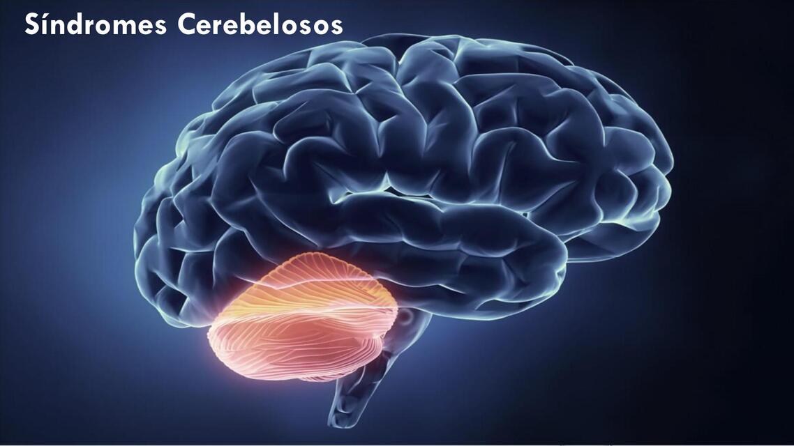 sindromes cerebelosos CA3 | Carolina | uDocz
