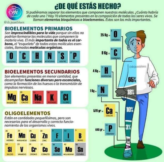 FLASHCARDS MEDICINA 1 | Robert Percy TTICA MAMANI | uDocz
