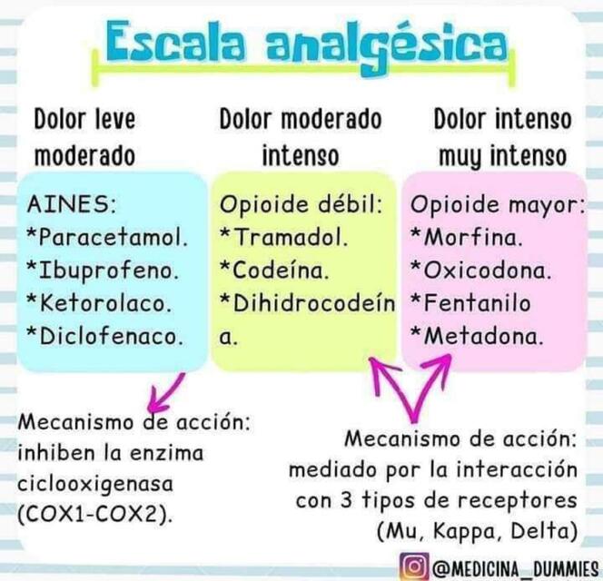 FLASHCARDS DE MEDICINA | Robert Percy TTICA MAMANI | uDocz