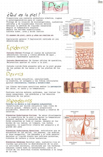 PIEL | Kevin Xobin | uDocz
