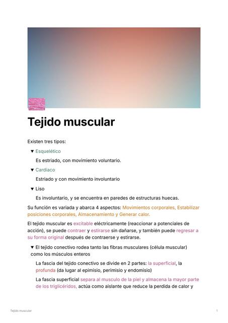 Tejido muscular fisio | Jonathan | uDocz