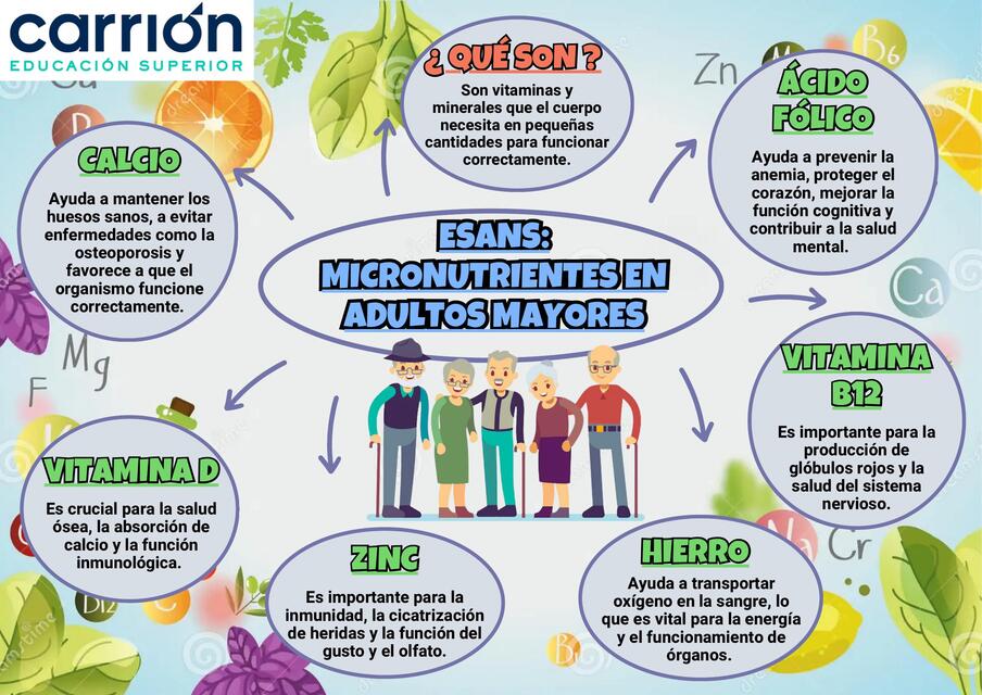 Micronutrientes En Adultos Mayores Raiida Gomez Udocz