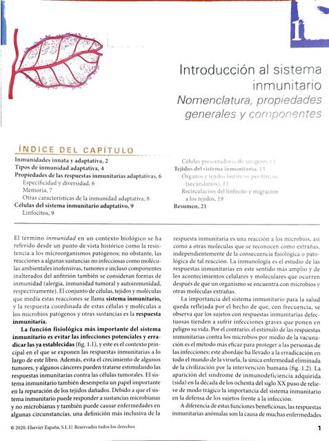 Capitulo 1 Abbas | Antonio | uDocz