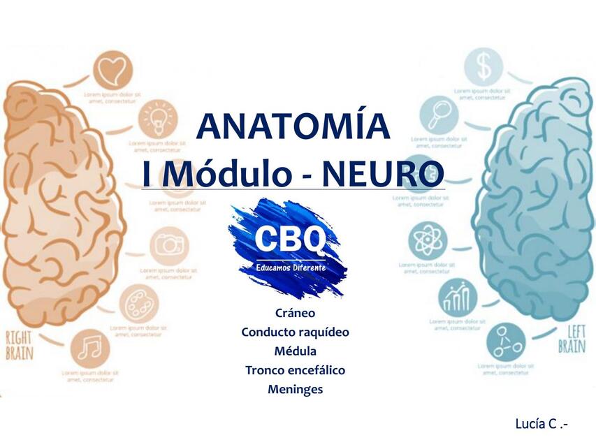 i neuro | Angela | uDocz