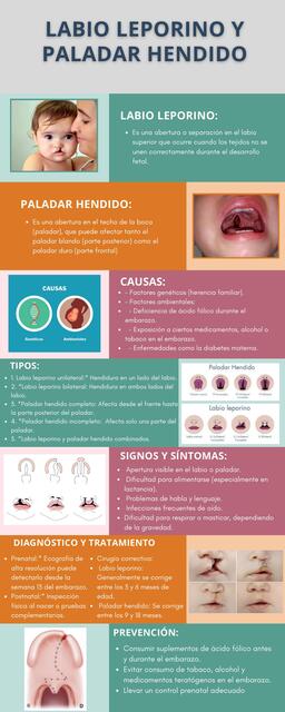 Infografía labio leporino y paladar hendido | Helen | uDocz