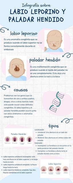Infografía labio leporino y paladar hendido | Helen | uDocz