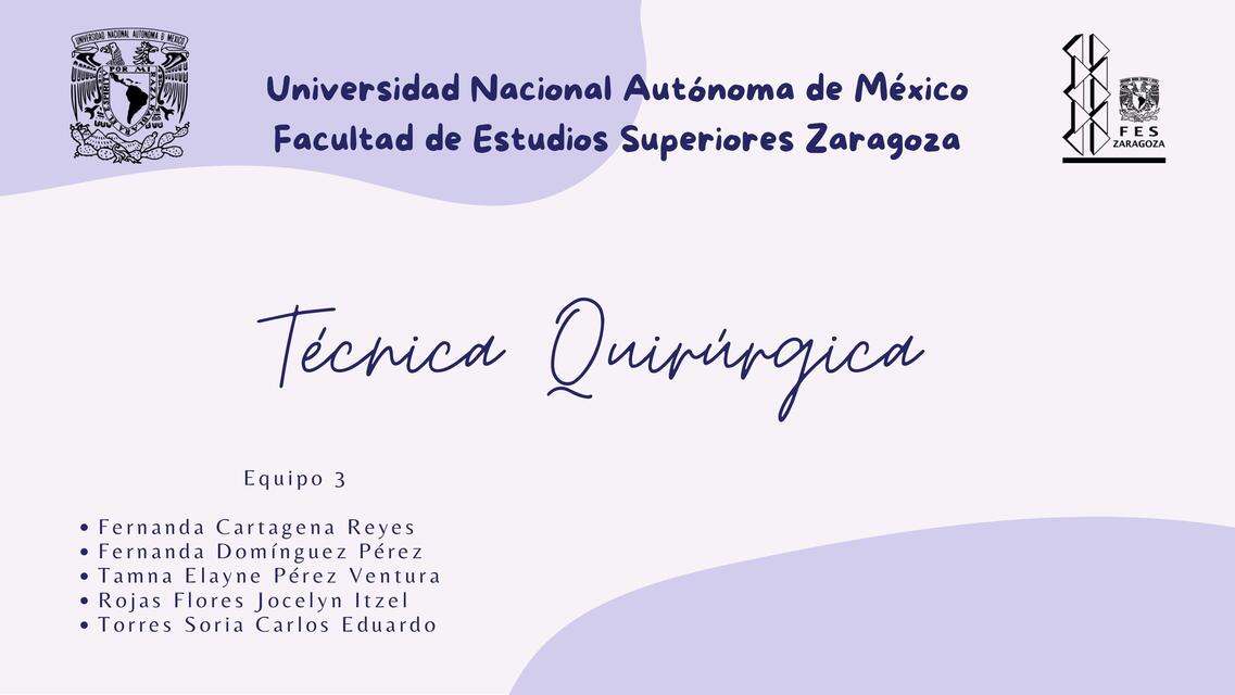 TÉCNICA QUIRÚRGICA FISIOPATO pdf | Liliana perez | uDocz