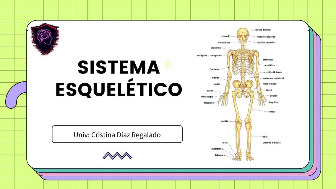 SISTEMA ESQUELÉTICO | Cristina | uDocz