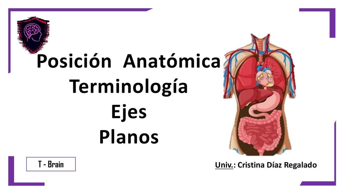 ANATOMÍA POSICIÓN ANATÓMICA TERMINOLOGÍA EJES PLAN | Cristina | uDocz
