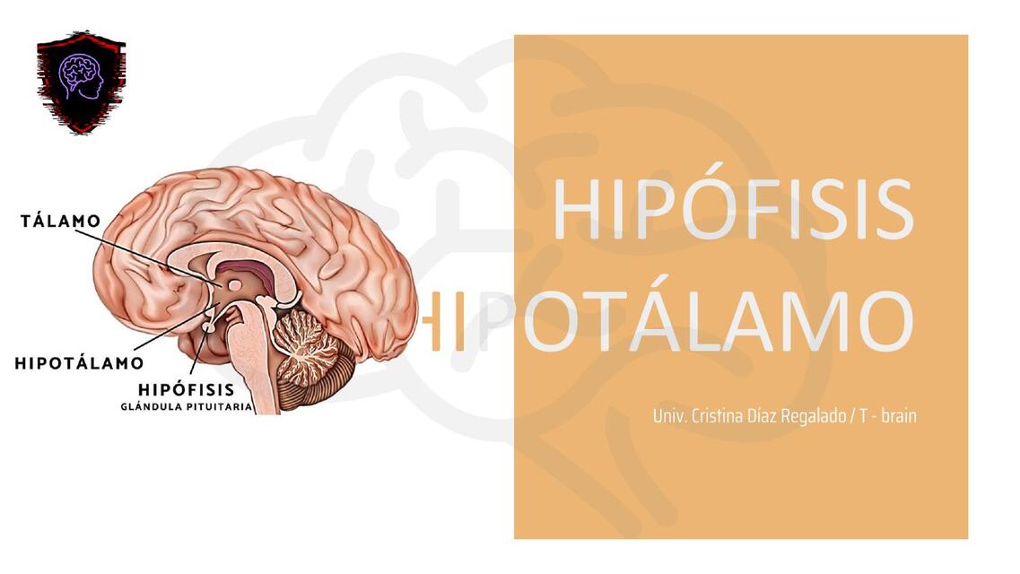 Blue Medical Breakthrough Orange variant | Cristina | uDocz