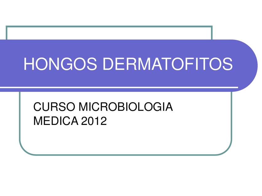 Hongos Dermatofitos | Ahmed Casana | uDocz