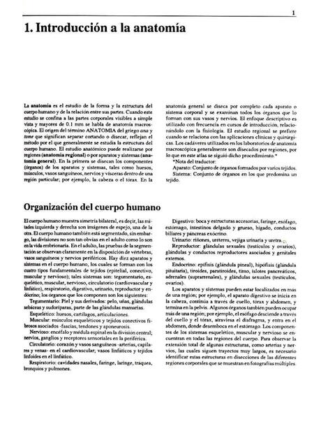 PLANOS ANATOMICOS | Estrella | uDocz