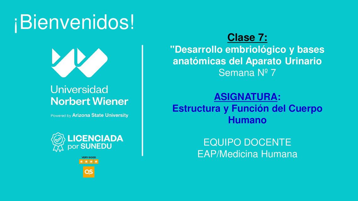 Clase 7 Desarrollo embriológico y bases anatómicas | Alexsandro | uDocz