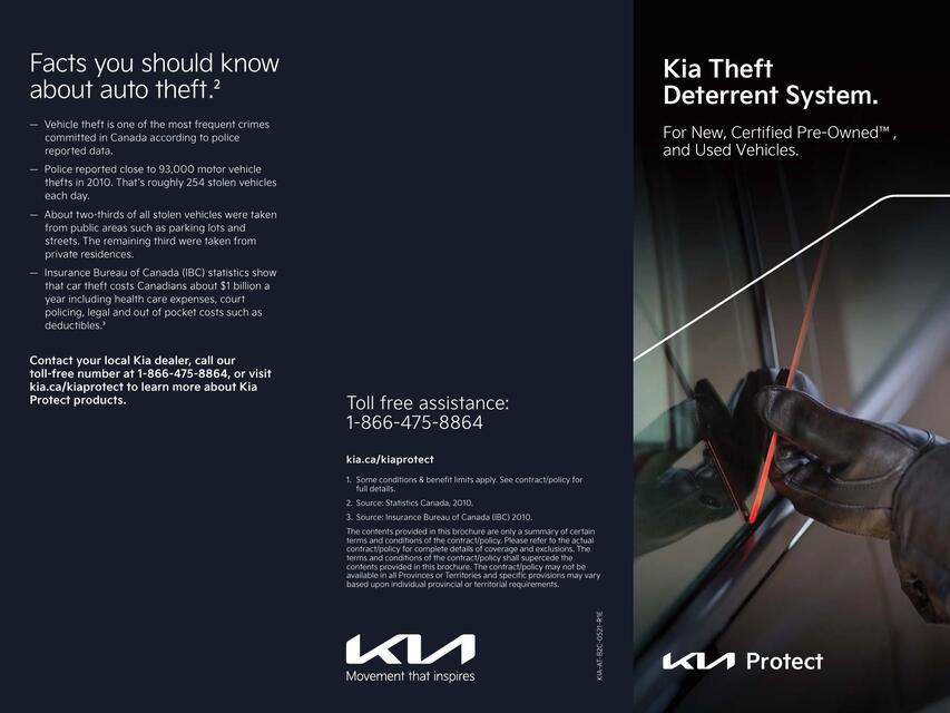 Theft Deterrent System | Felipe | uDocz