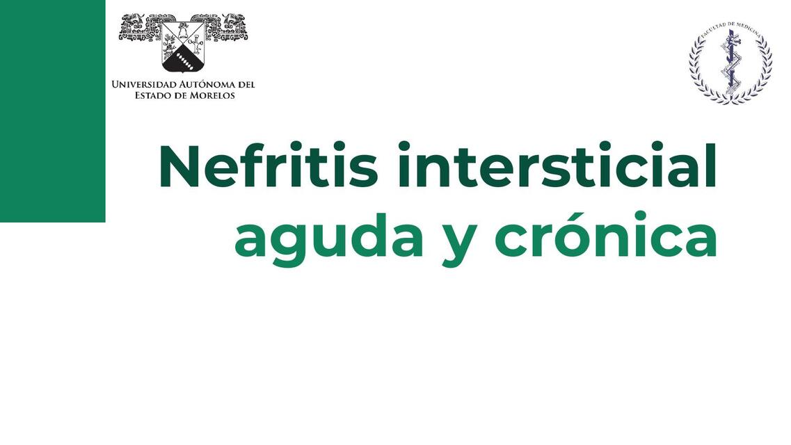 Nefritis intersticial aguda y cronica | Gaby Campos | uDocz