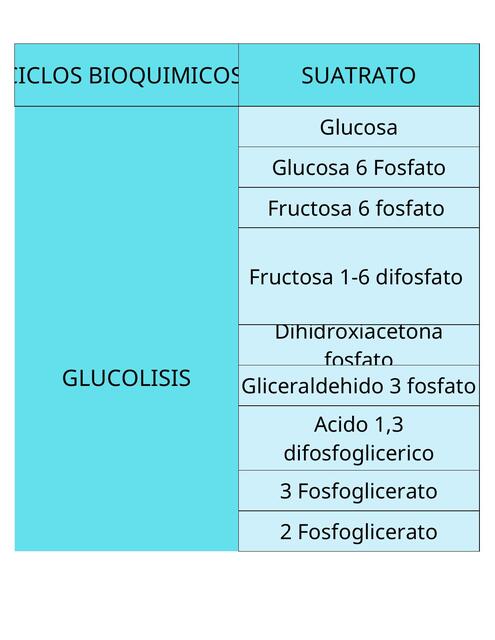 enzimas del cuerpo | stephanie moncada | uDocz