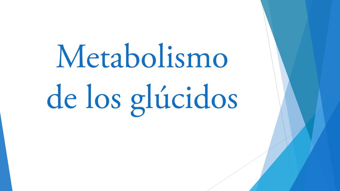 Metabolismo de los glúcidos | Miguel | uDocz