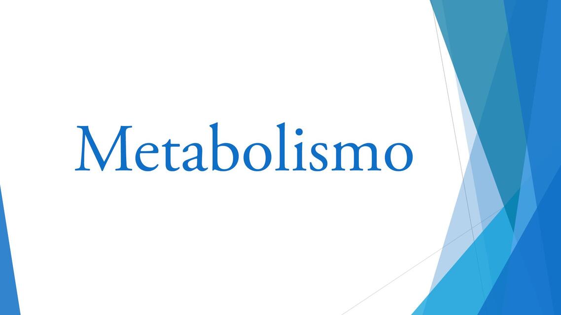 Metabolismo | Miguel | uDocz