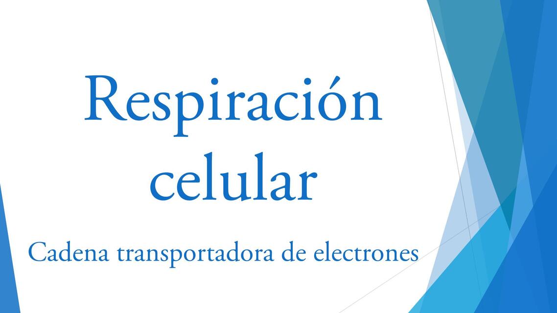 RC Cadena transportadora de electrones | Miguel | uDocz