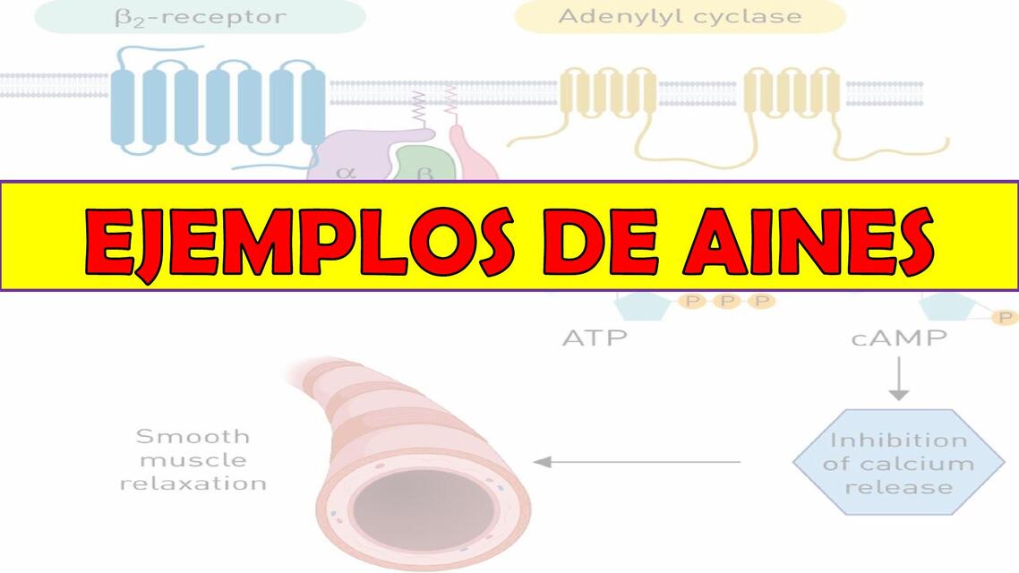 EJEMPLOS DE AINES | Pharma Cix | uDocz
