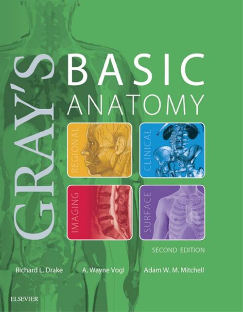 Grays Basic Anatomy 2nd | IVAN | uDocz